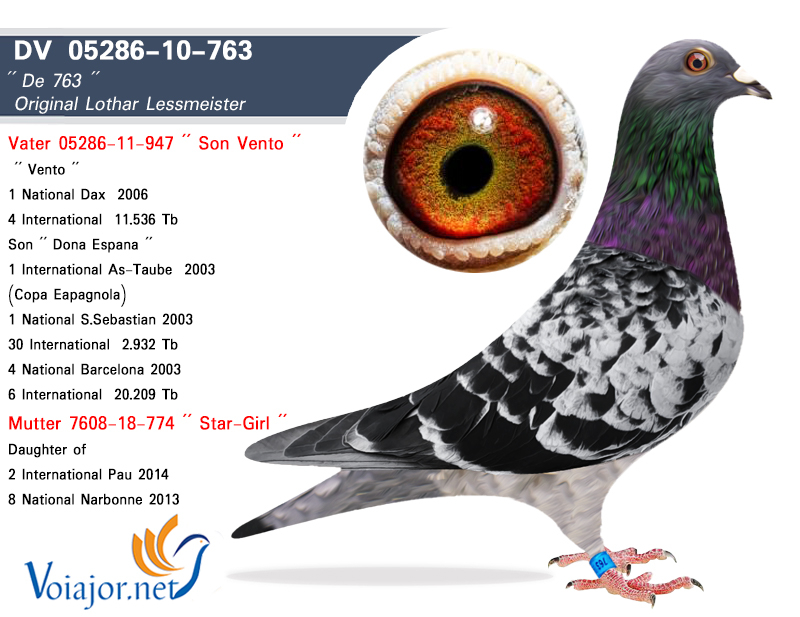 Voiajor.net | Mehr Info: Top-Auktion - Lothar Lessmeister - Deutschland