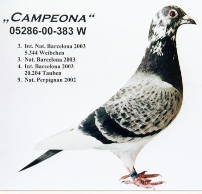 Voiajor.net | Mehr Info: Top-Auktion - Lothar Lessmeister - Deutschland