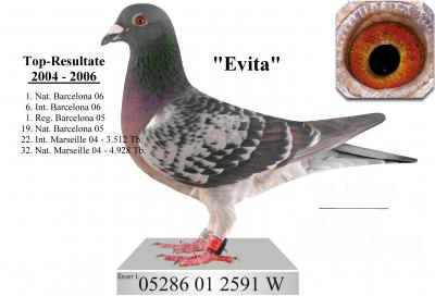 Voiajor.net | Mehr Info: Top-Auktion - Lothar Lessmeister - Deutschland