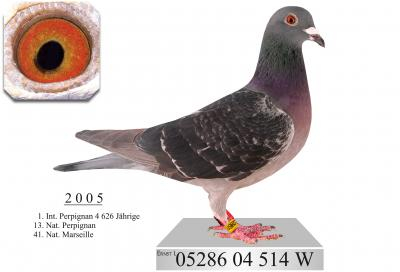 Voiajor.net | Mehr Info: Top-Auktion - Lothar Lessmeister - Deutschland