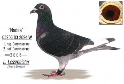 Voiajor.net | Mehr Info: Top-Auktion - Lothar Lessmeister - Deutschland