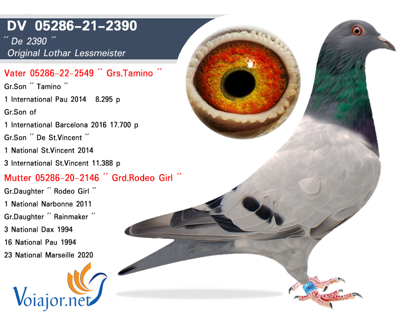 Voiajor.net | Mehr Info: Top-Auktion - Lothar Lessmeister - Deutschland