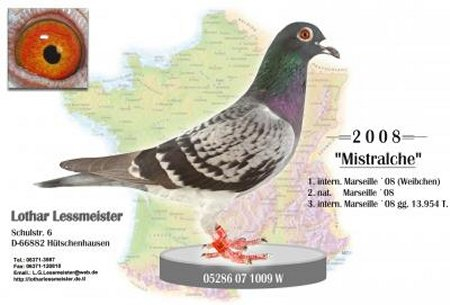 Voiajor.net | Mehr Info: Top-Auktion - Lothar Lessmeister - Deutschland