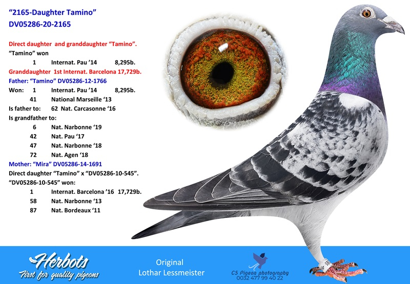 Voiajor.net | Mehr Info: Top-Auktion - Lothar Lessmeister - Deutschland