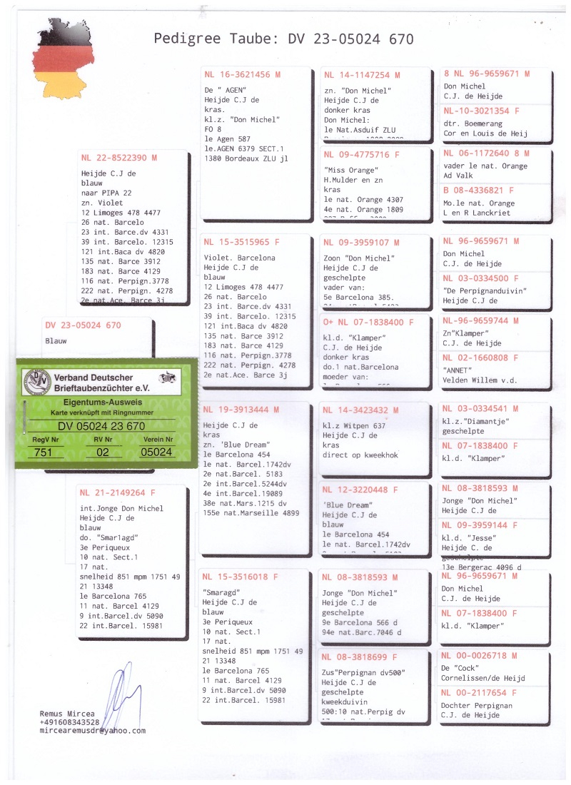 Voiajor.net | Mehr Info: Top-Auktion – Mircea Remus – Deutschland