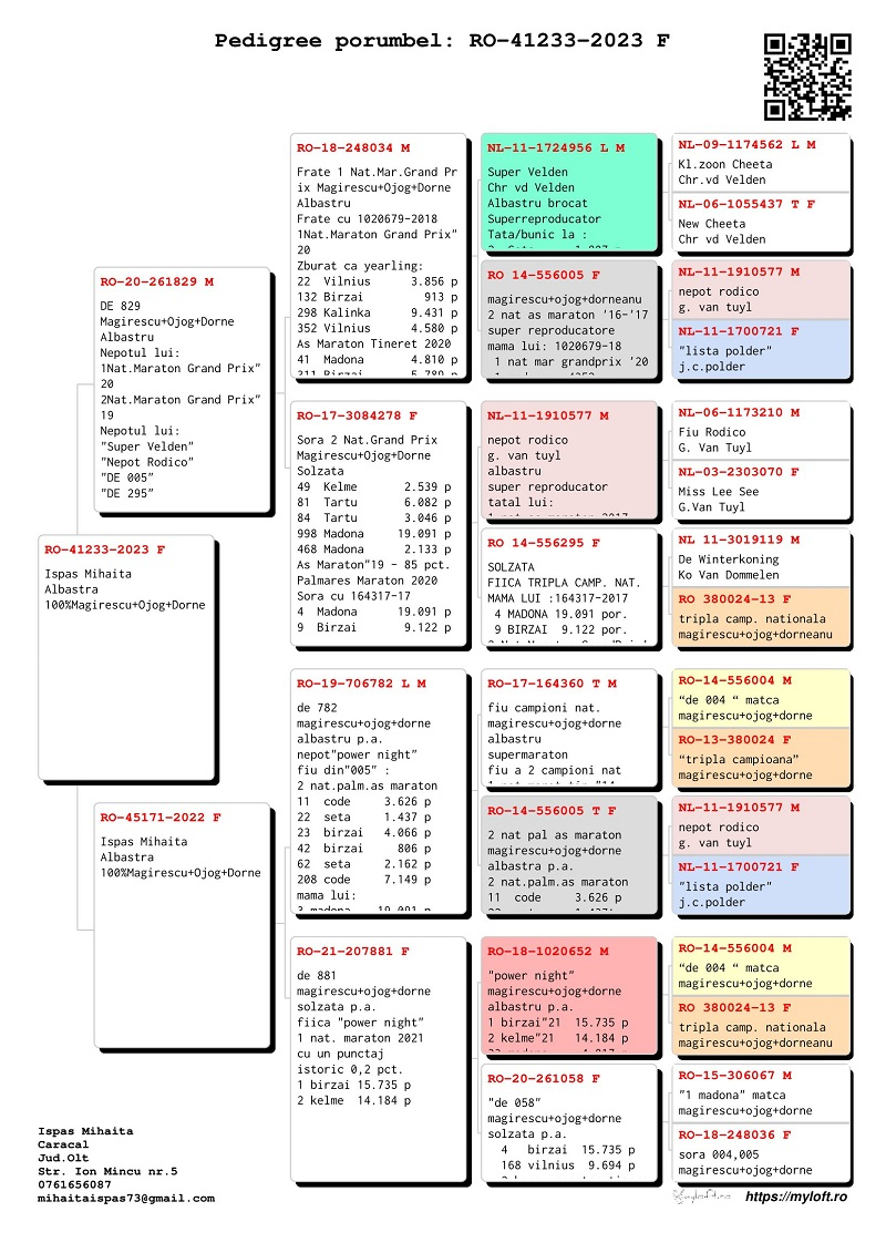 Voiajor.net | Detalii Licitatie: Licitație de Top - Ispas Mihăiță - Olt