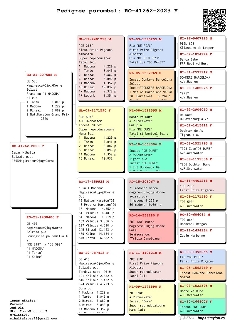 Voiajor.net | Detalii Licitatie: Licitație de Top - Ispas Mihăiță - Olt