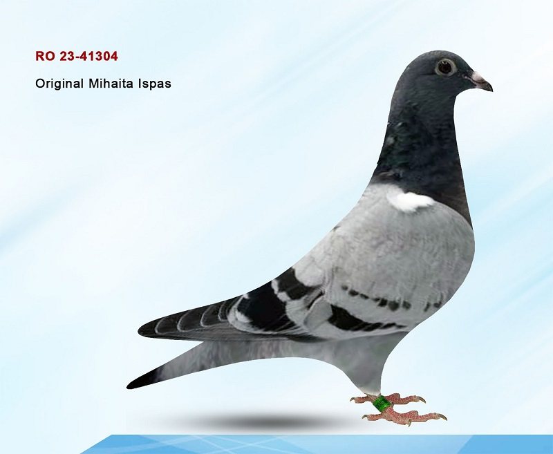 Voiajor.net | Detalii Licitatie: Licitație de Top - Ispas Mihăiță - Olt