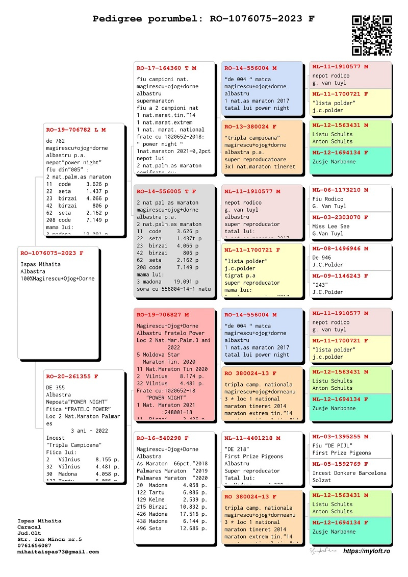 Voiajor.net | Detalii Licitatie: Licitație de Top - Ispas Mihăiță - Olt