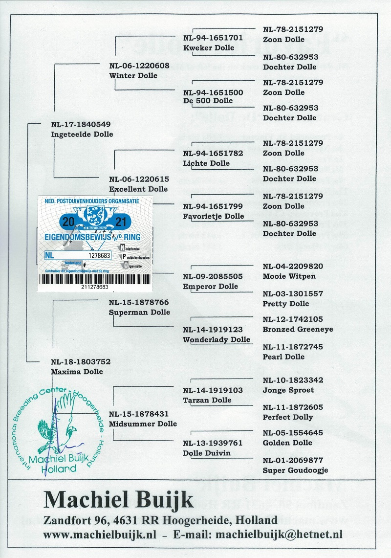 Voiajor.net | Auction Details: Top Auction - Machiel Buijk - Netherlands