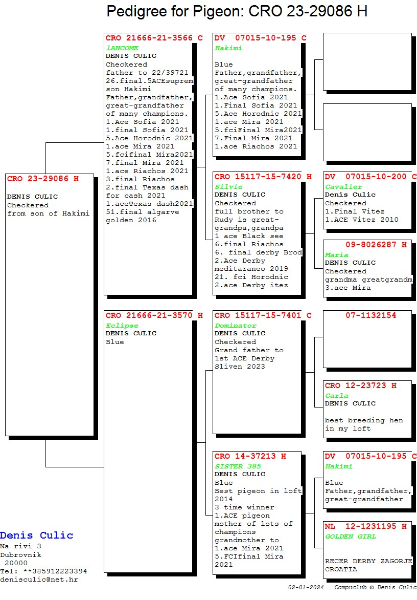 Voiajor.net | Auction Details: Top Auction - Denis Culic - Croatia