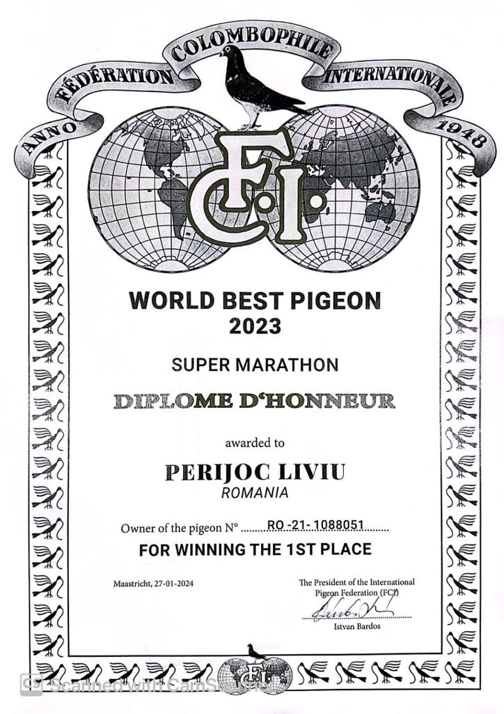 Voiajor.net | Auction Details: Top Auction - Perijoc Liviu - Suceava