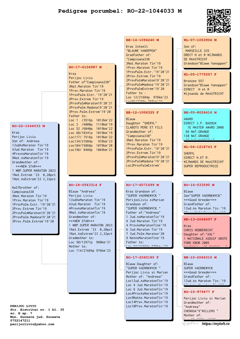 Voiajor.net | Detalii Licitatie: Licitație de Top - Perijoc Liviu - Suceava