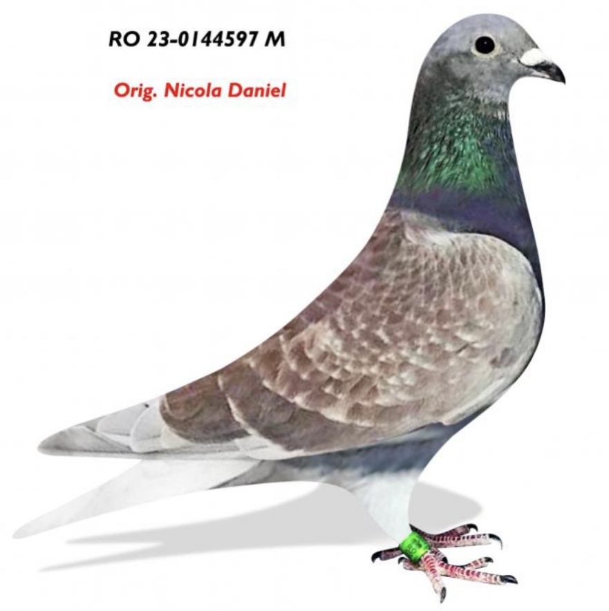 Voiajor.net | Auction Details: Top Auction - Nicola Daniel - Olt