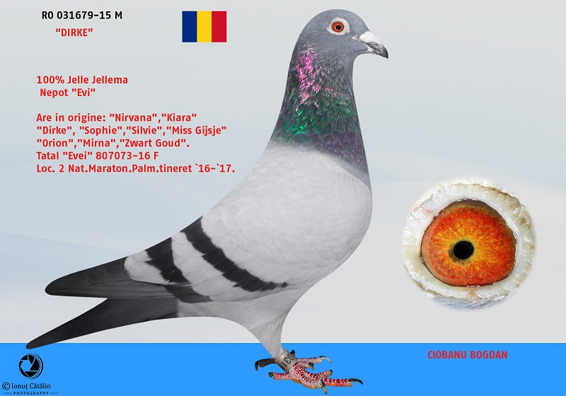 Voiajor.net | Auction Details: Top Auction - Ciobanu Bogdan - Suceava