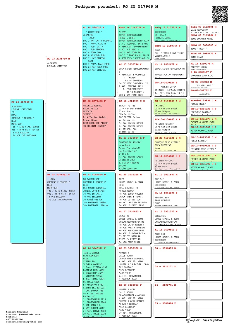 Voiajor.net | Detalii Licitatie: Licitaţie de Top - Lemnaru Cristian - Olt