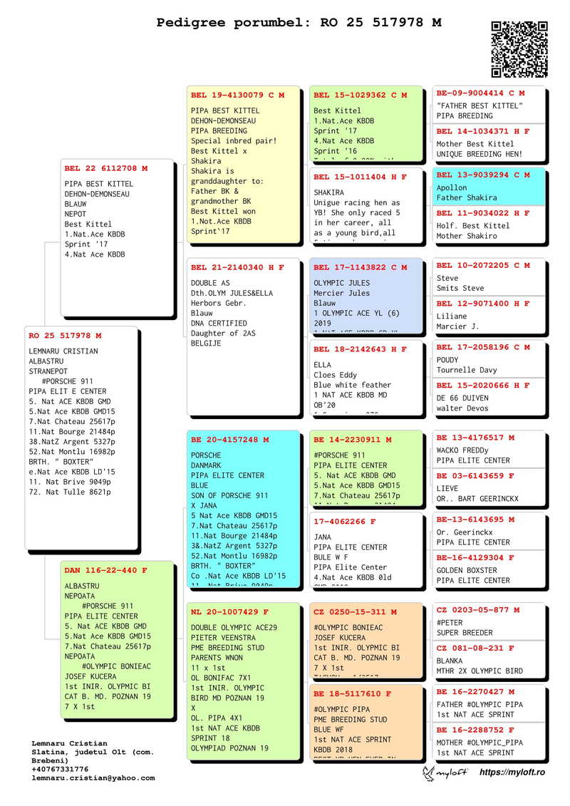 Voiajor.net | Detalii Licitatie: Licitaţie de Top - Lemnaru Cristian - Olt