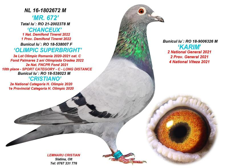 Voiajor.net | Detalii Licitatie: Licitaţie de Top - Lemnaru Cristian - Olt