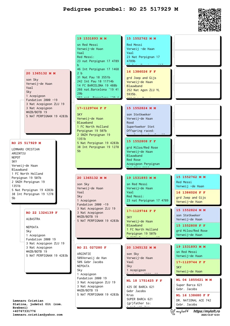 Voiajor.net | Detalii Licitatie: Licitaţie de Top - Lemnaru Cristian - Olt
